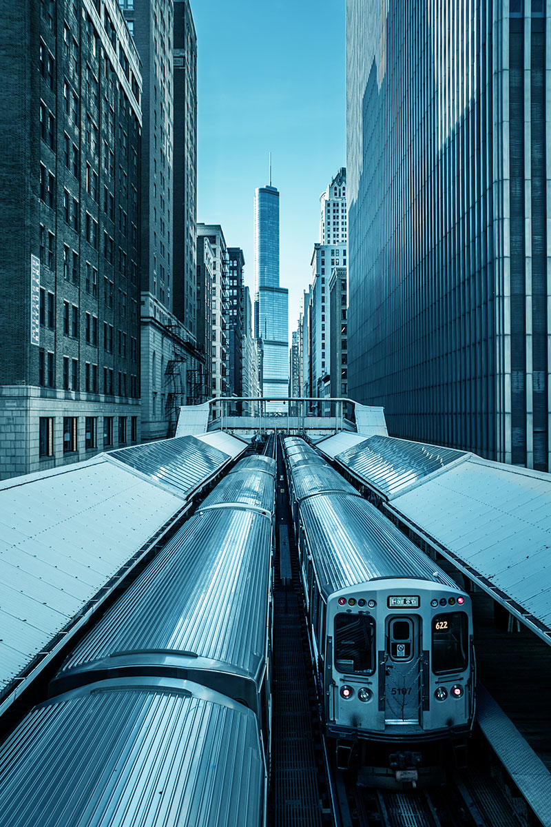 DesignLB - LaNia Bond